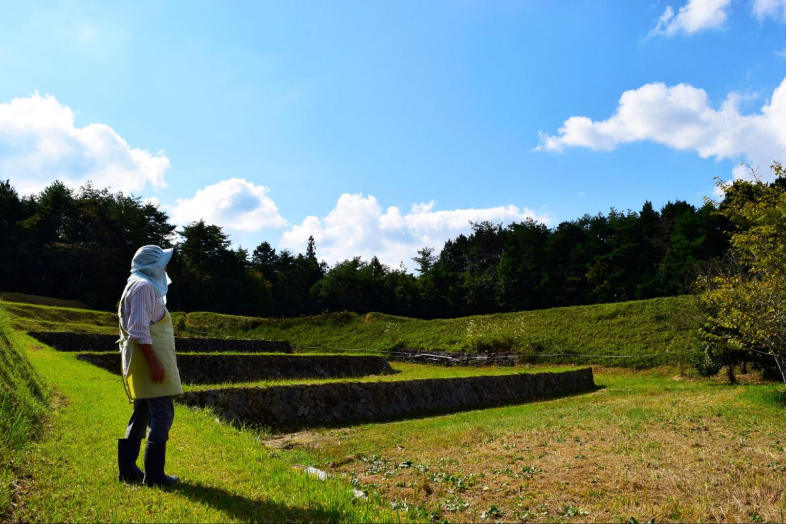 遊休農地とは｜活用事例・耕作放棄地、荒廃農地との違い、注意点も - SDGsメディア『Spaceship Earth（スペースシップ・アース）』