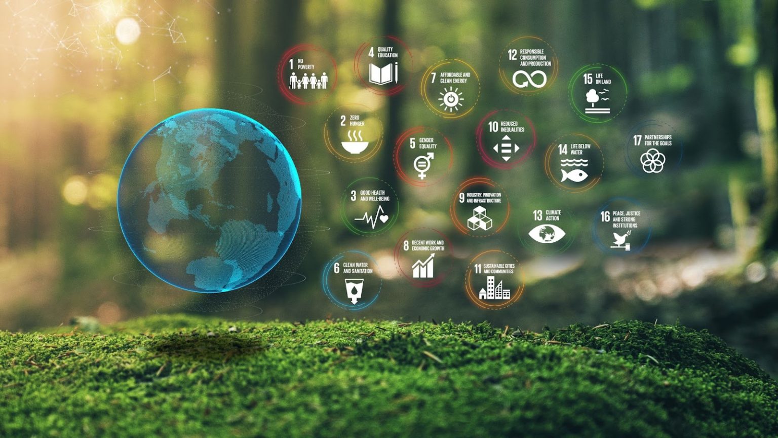 エコロジカルフットプリントとは？計算方法や日本の現状、私たちにできること - Spaceship Earth（スペースシップ・アース）｜SDGs・ESGの取り組み事例から私たちにできる情報を ...