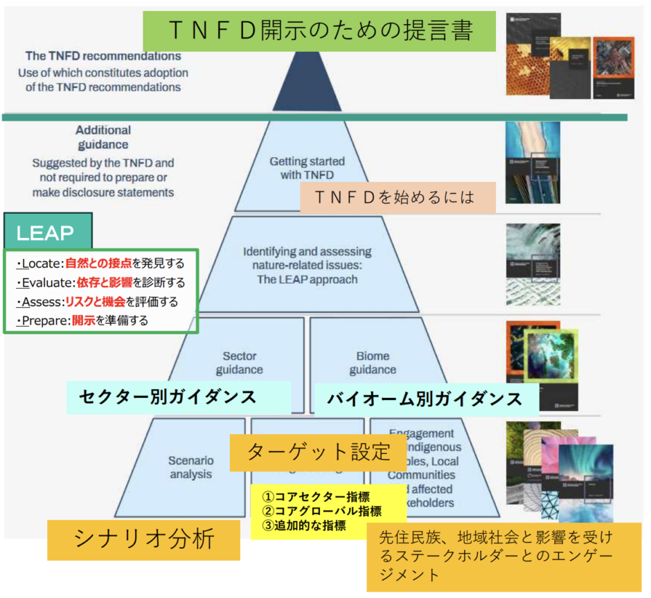 TNFDとは？TCFDとの違いや賛同するメリットをわかりやすく解説！環境省が定めた内容も簡単に紹介！ - Spaceship Earth（スペースシップ・アース）｜SDGs・ESGの取り組み ...