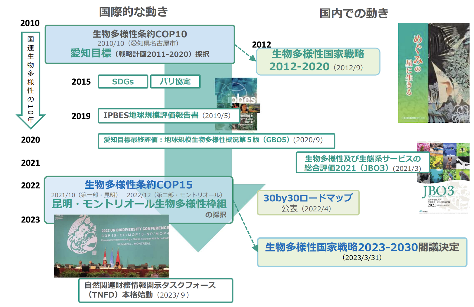 TNFDとは？TCFDとの違いや賛同するメリットをわかりやすく解説！環境省が定めた内容も簡単に紹介！ - Spaceship Earth（スペースシップ・アース）｜SDGs・ESGの取り組み ...