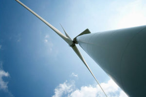 TIGR (Tradable Instruments for Global Renewables)とは？特徴やメリット・デメリットも ...