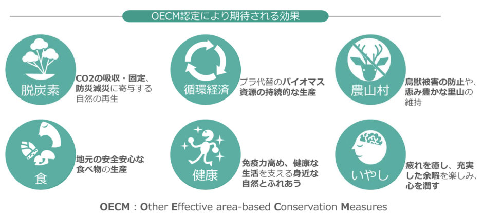 30by30とは？メリットや日本の現状、30by30ロードマップについても - Spaceship Earth（スペースシップ・アース）｜SDGs・ESGの取り組み事例から私たちにできる情報を ...
