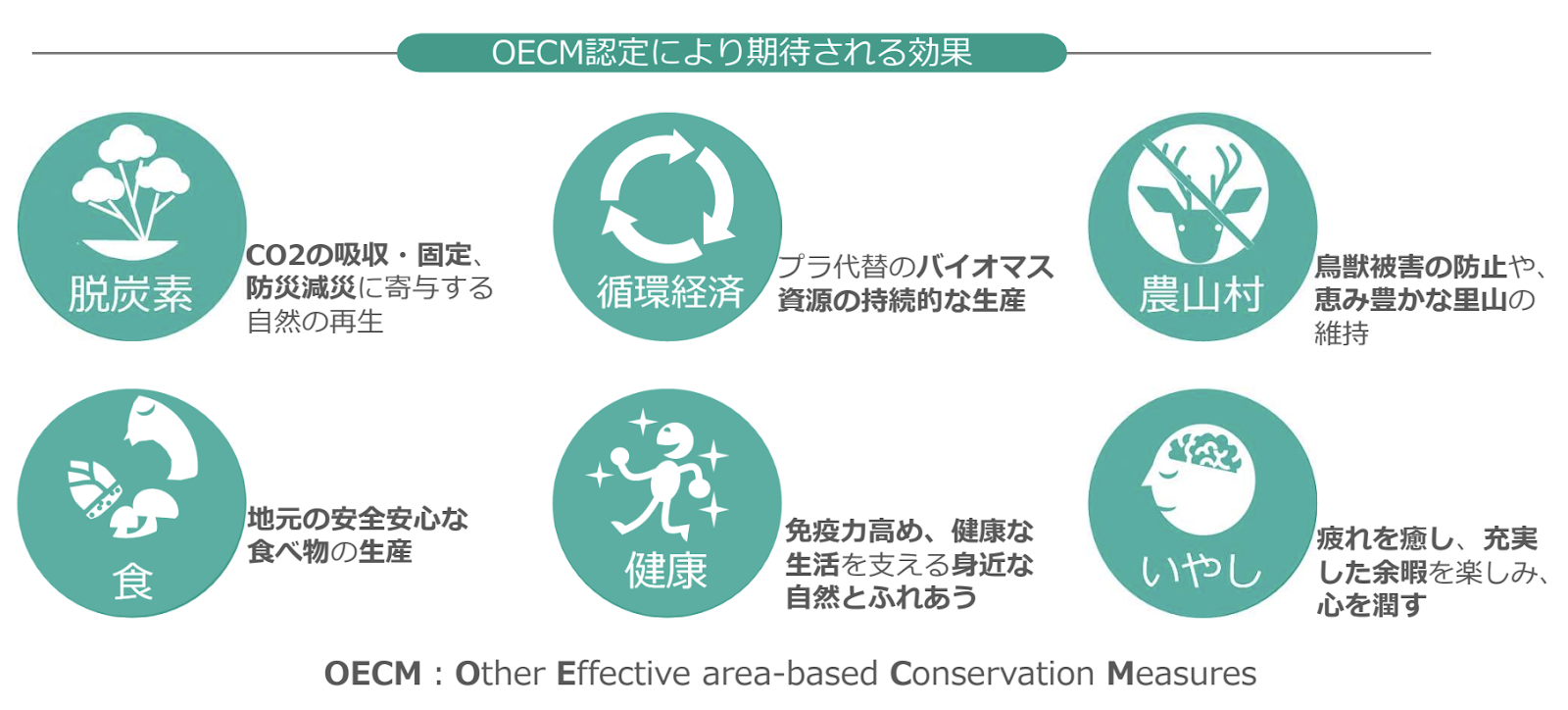 30by30とは？メリットや日本の現状、30by30ロードマップについても - Spaceship Earth（スペースシップ・アース）｜SDGs・ESGの取り組み事例から私たちにできる情報を ...